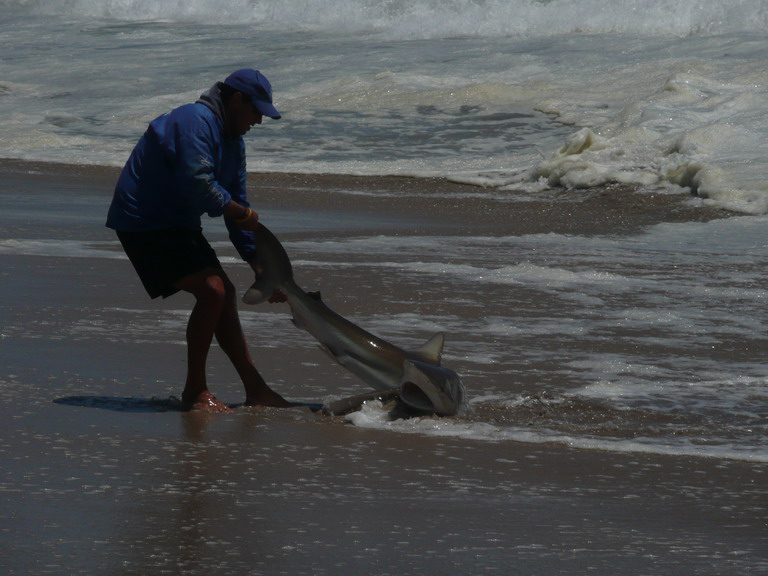 Gallery - Namibia-Hunter
