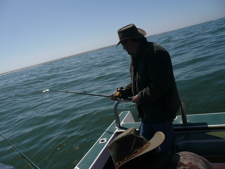 Gallery - Namibia-Hunter