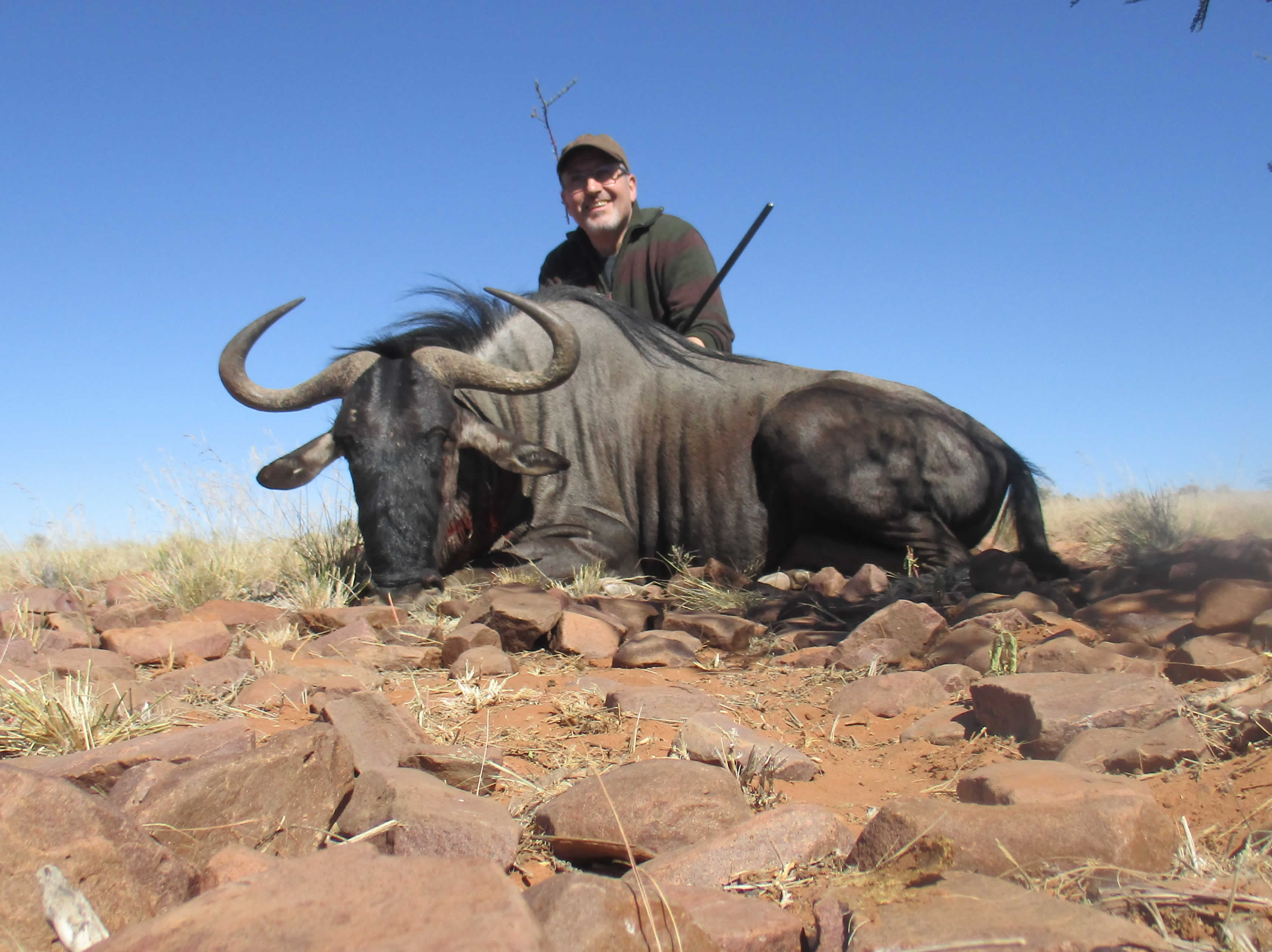 Gallery - Namibia-Hunter